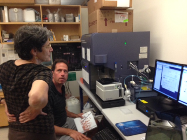 Brand-new state-of-the-art BD Fortessa X-20 flow analyzer: | Department ...